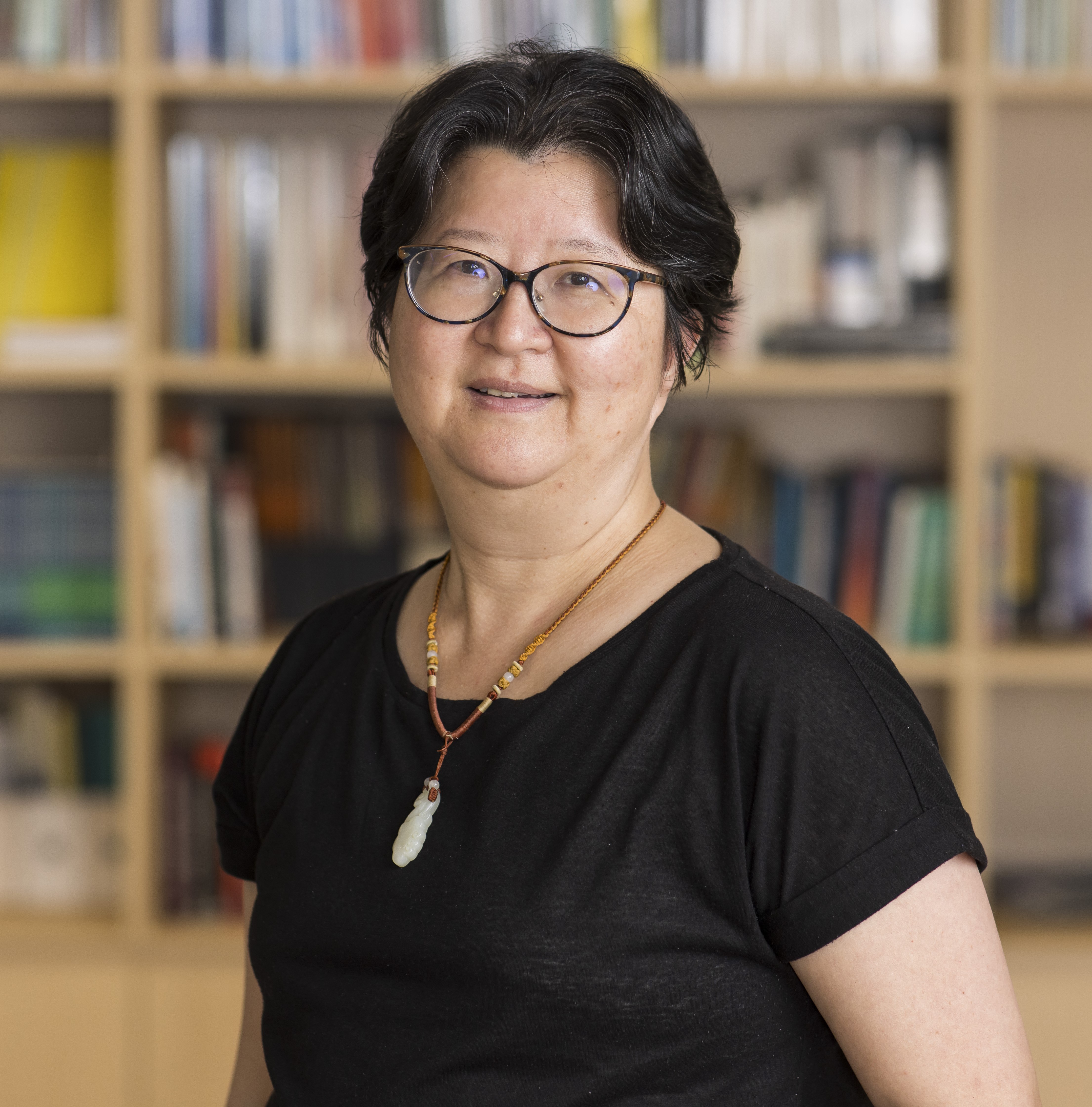 Professor Limin Mao | UNSW Research
